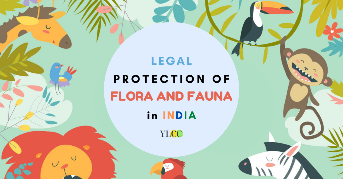 Legal Protection of Flora and Fauna in India - YLCC
